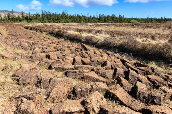 10 Interesting Facts About Islay | Peatzeria