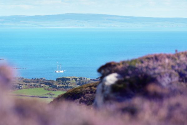 10 Interesting Facts About Islay | Peatzeria